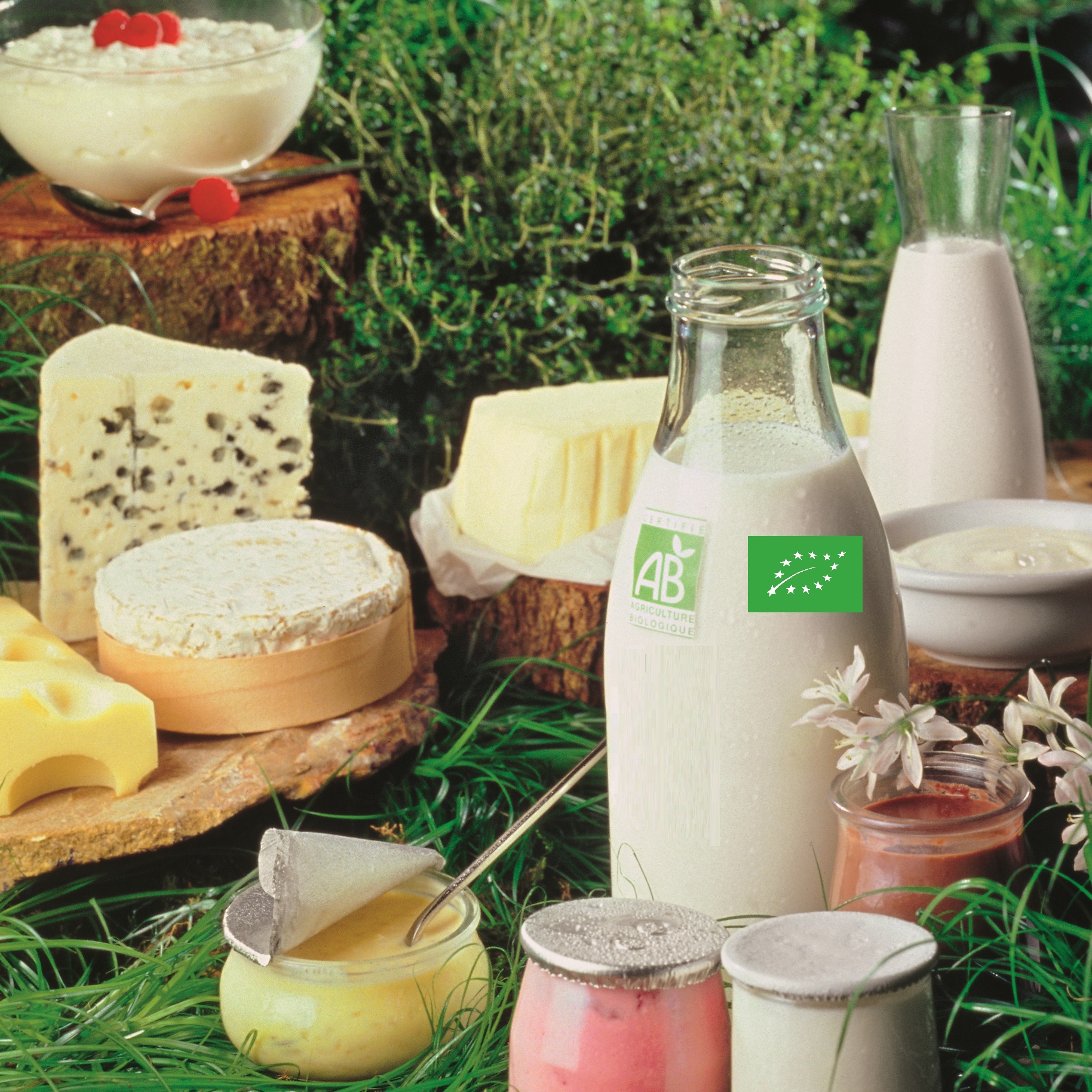 C'est quoi le lait bio? - Agence Bio