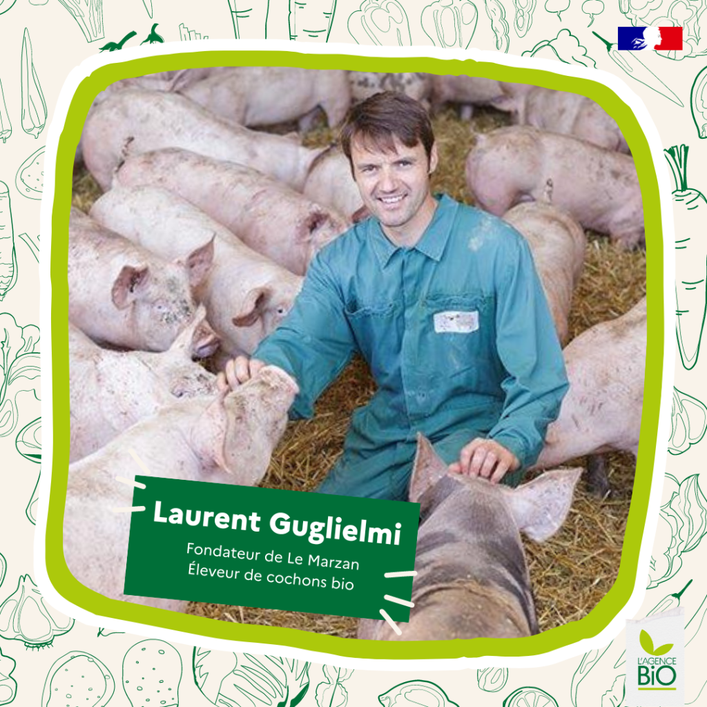 Laurent Guglielmi : tout est bon et bio dans le cochon - Agence Bio